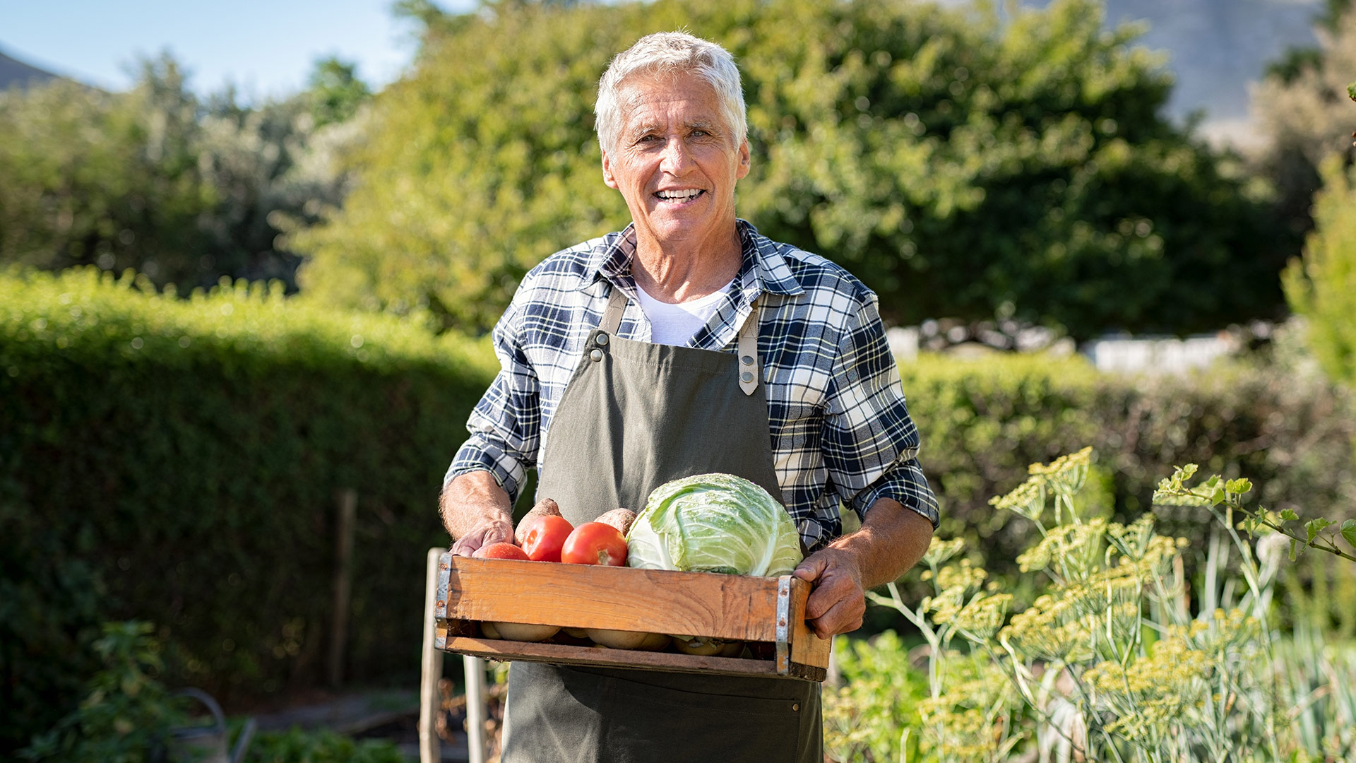 Texas Medicare Plans - Southern Plains Insurance Group